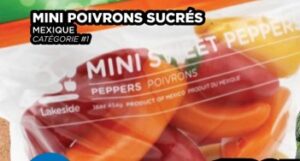 Mini Poivrons Sucrés - Sac de 1Lb - Fruiterie Potager